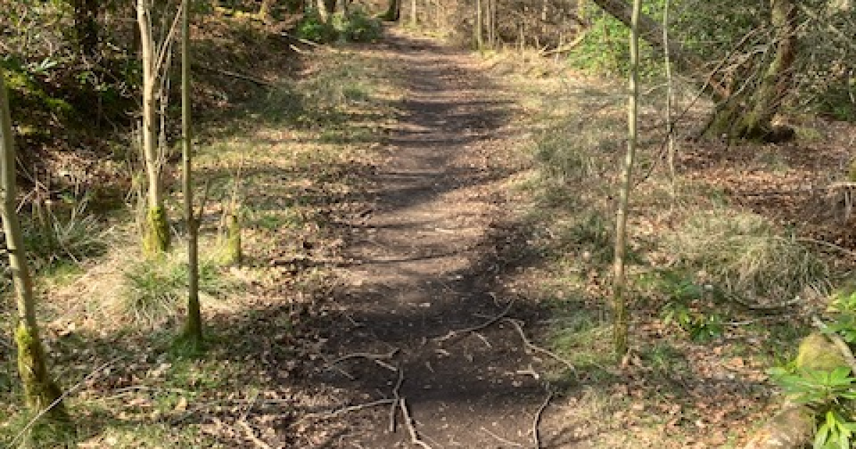 Milngavie Reservoirs and Mugdock - Ramblers